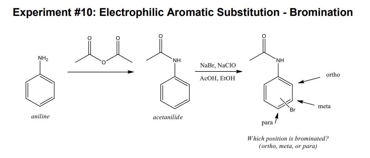 Solved Experiment \#10: Electrophilic Aromatic Substitution | Chegg.com