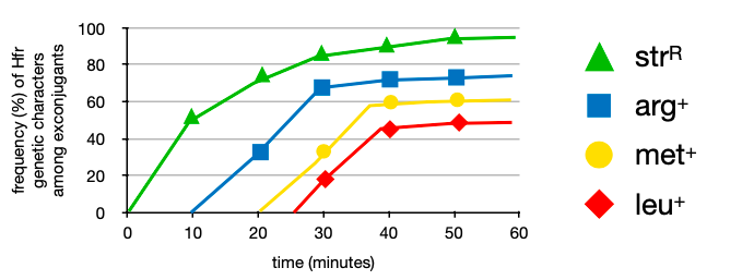 Solved You’ve run an interrupted mating conjugation | Chegg.com