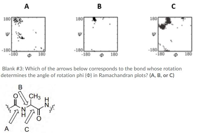 Solved Below are two views of the small globular protein | Chegg.com