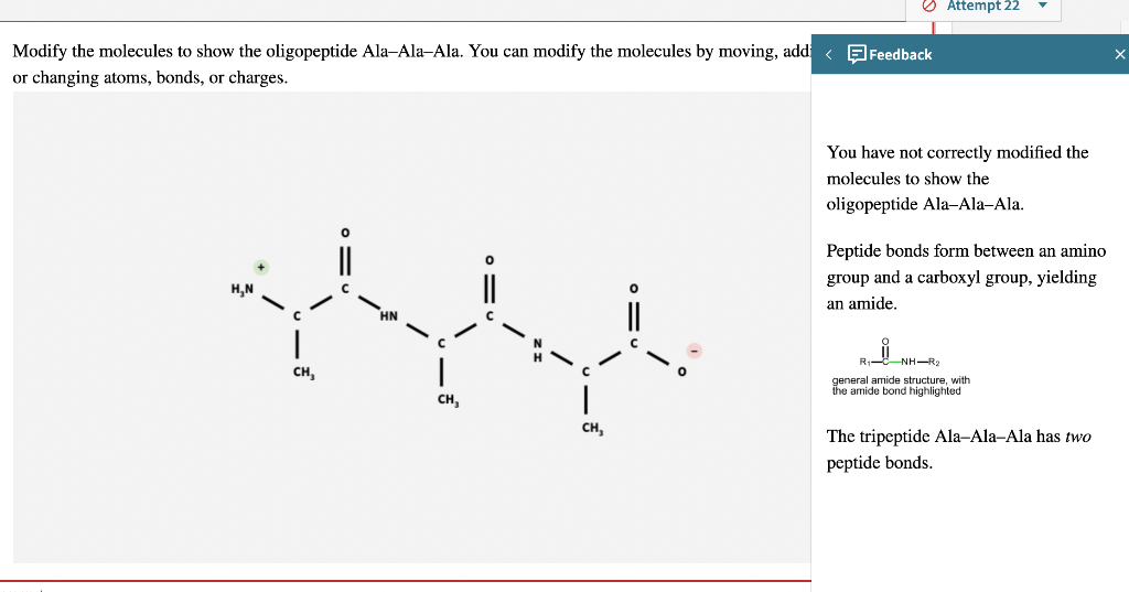 Solved Modify the molecules to show the oligopeptide | Chegg.com