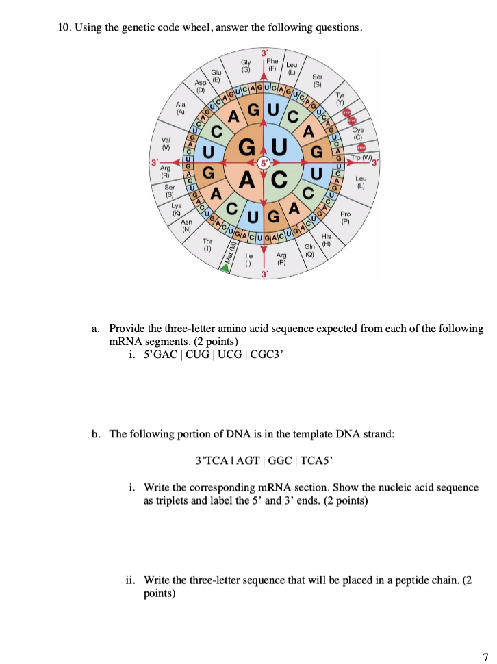 Solved 910GUCTA 10. Using the genetic code wheel, answer the | Chegg.com