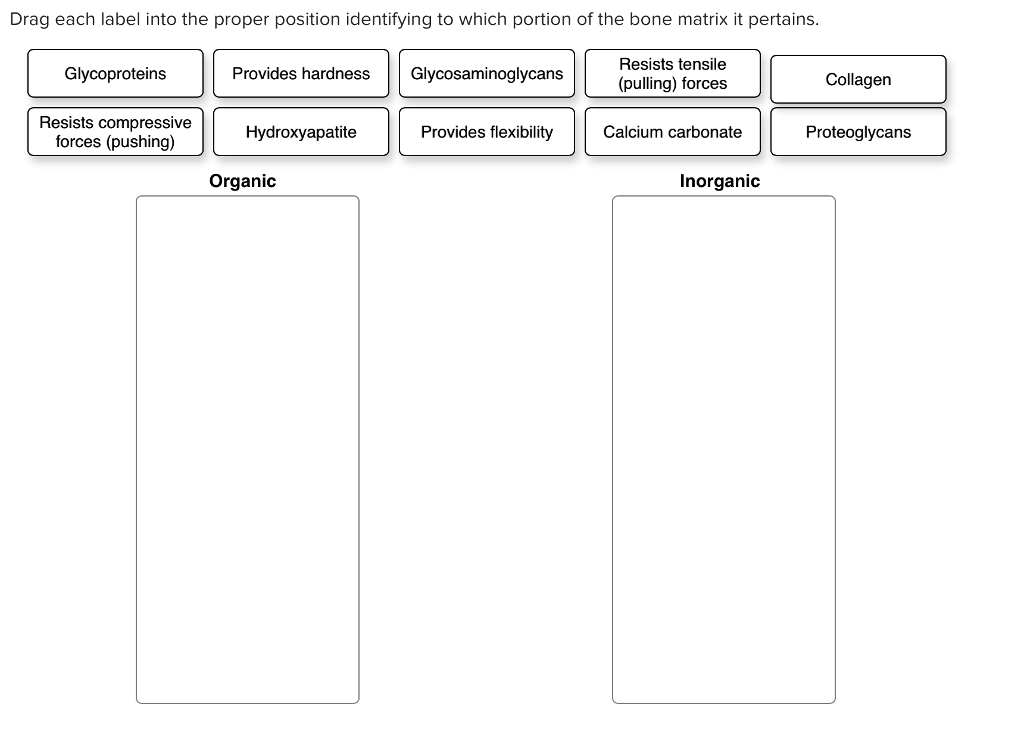 Solved Drag each label into the proper position identifying | Chegg.com