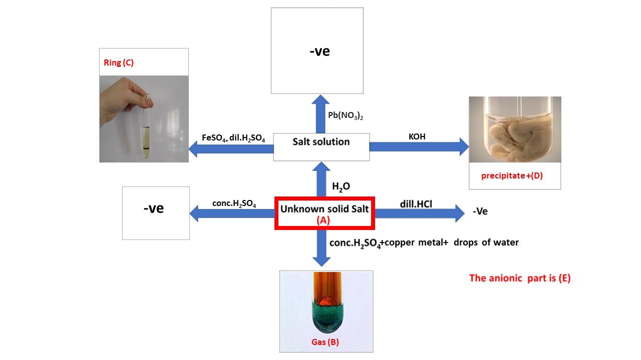 Solved B) A= Sodium chloride NaCl A= Sodium nitrite NaNO2 A= | Chegg.com