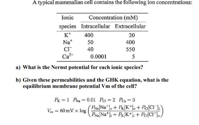 Solved A typical mammalian cell contains the following ion | Chegg.com