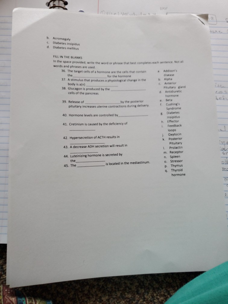 Solved THE ENDOCRINE SYSTEM MATCHING Match the key terms in | Chegg.com