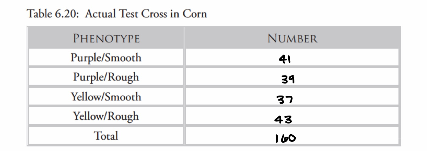 Solved Table 6.20: Actual Test Cross in Corn NUMBER 39 | Chegg.com