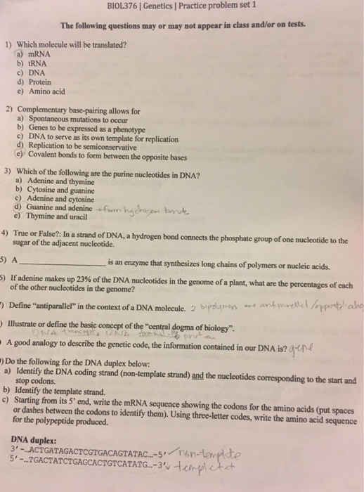 Solved BIOL376| Genetics | Practice problem set 1 The | Chegg.com