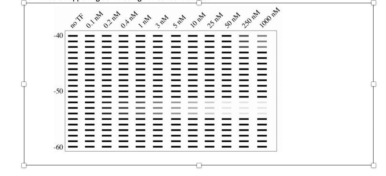 Solved Below is the result of a DNA footprinting experiment | Chegg.com