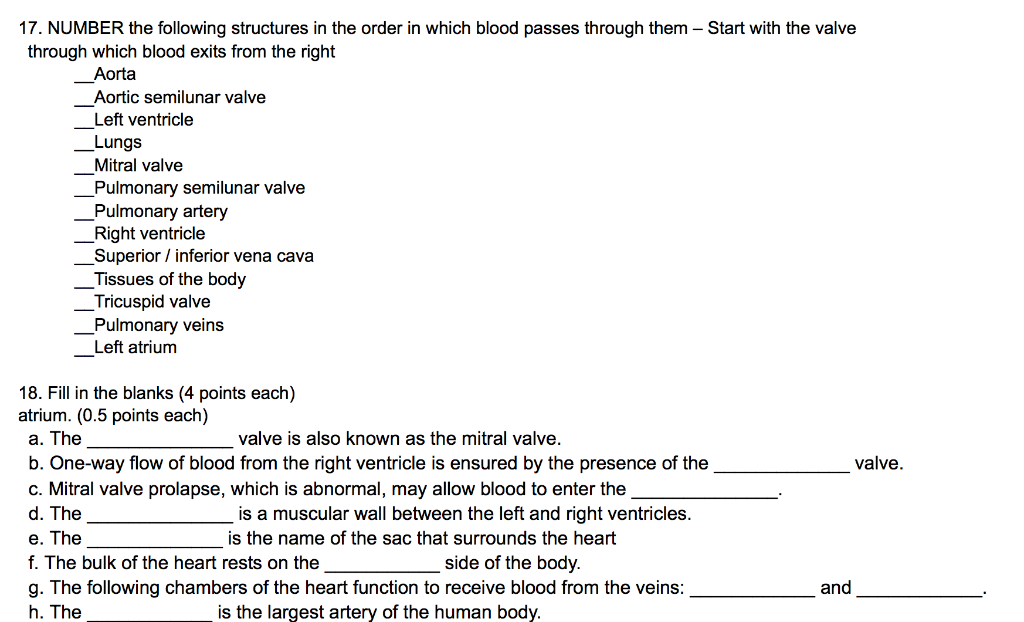 Solved | 17. NUMBER the following structures in the order in | Chegg.com