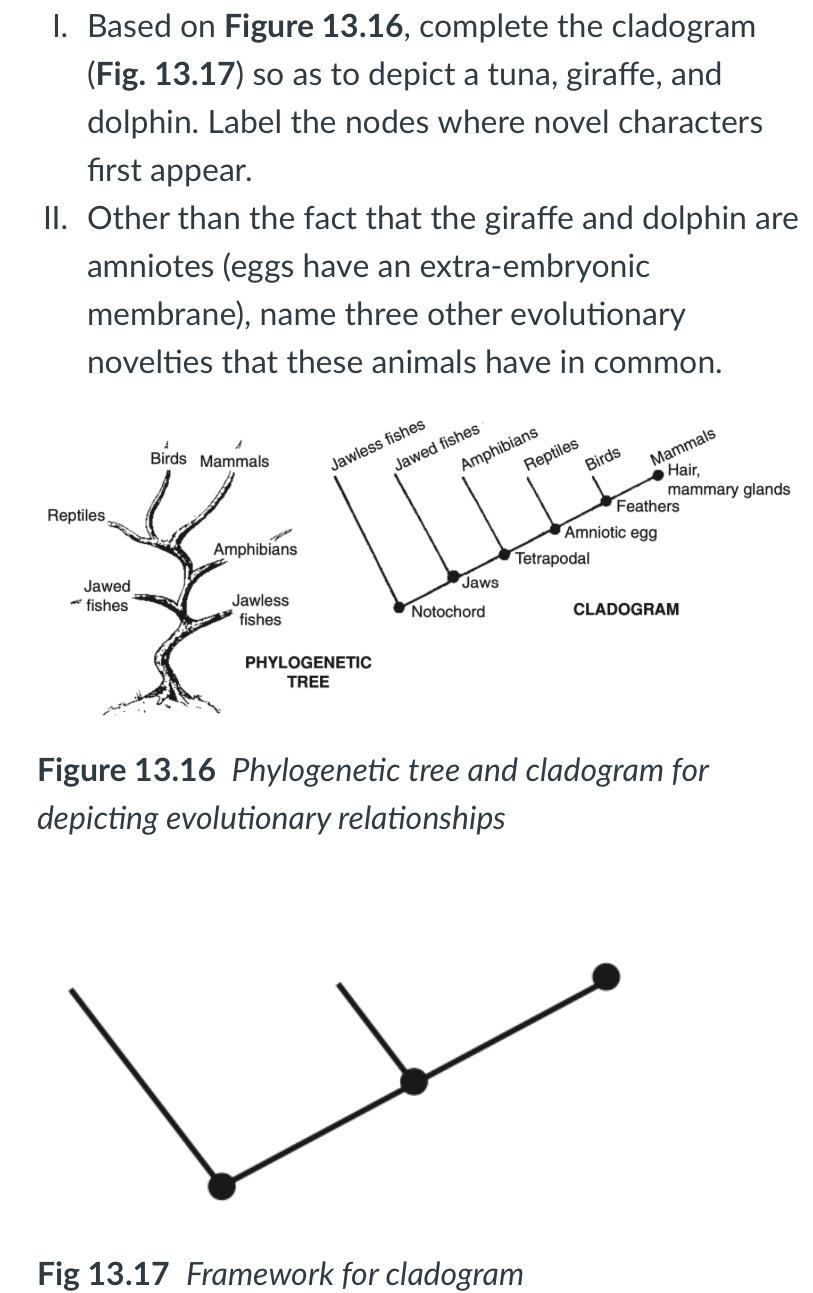 Solved I. Based on Figure 13.16, complete the cladogram | Chegg.com