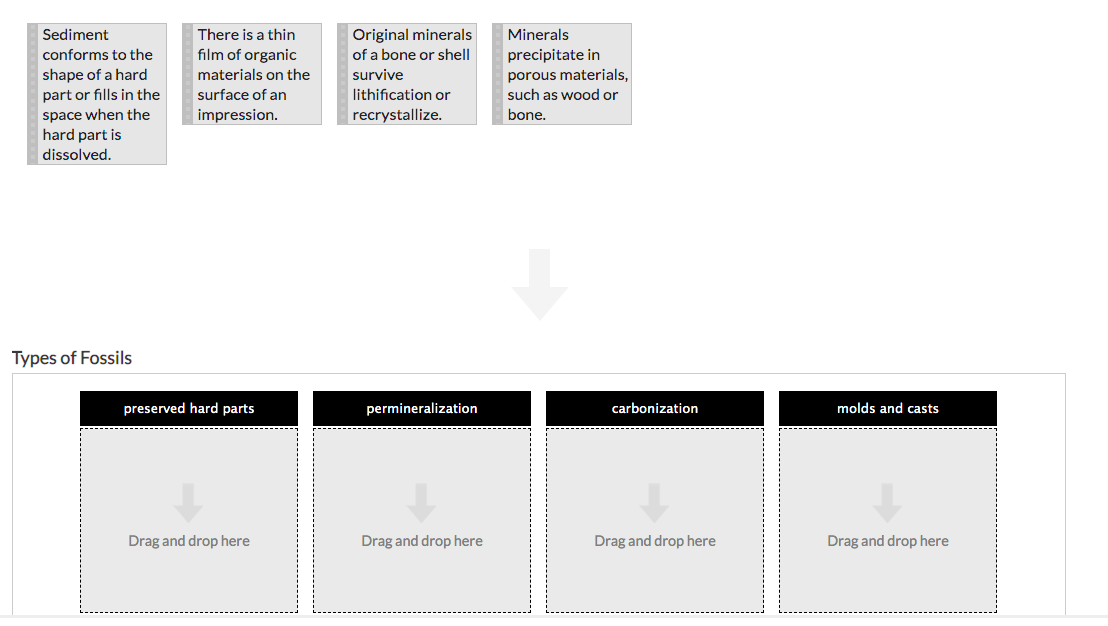 Solved Types of Fossils | Chegg.com