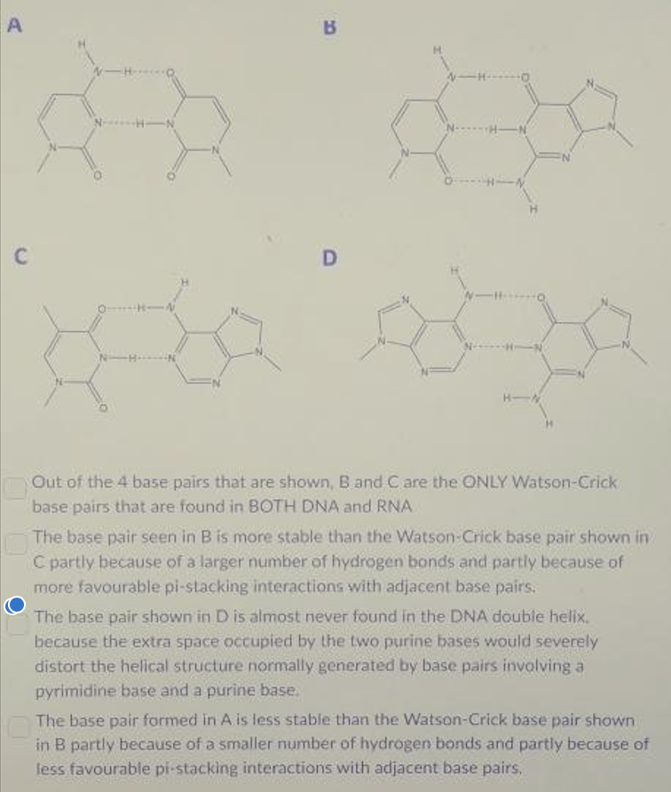 Solved Out of the 4 base pairs that are shown, B and C are | Chegg.com