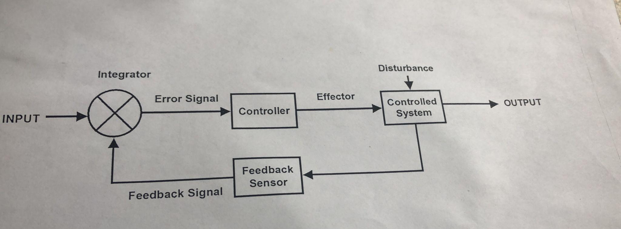 CLASS: equine exercise and physiology. 1.Diagram and | Chegg.com