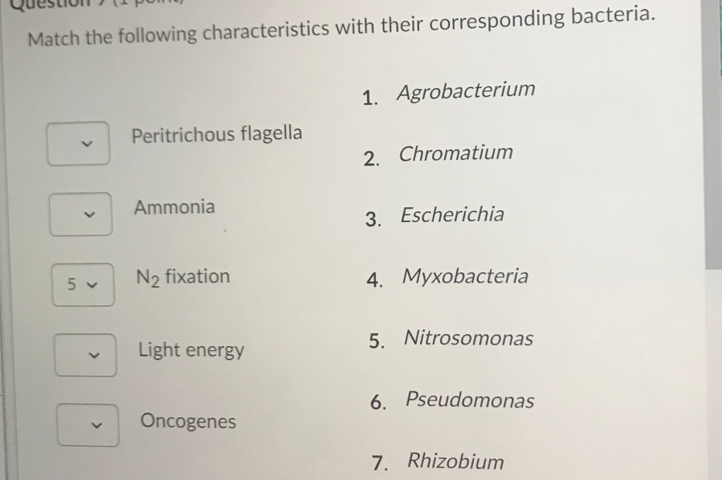 Solved Match the following characteristics with their | Chegg.com