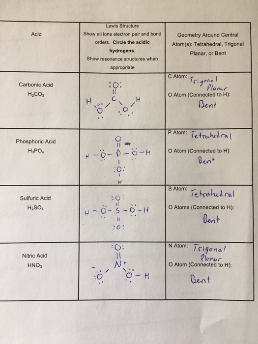 Solved The highly approximated structure of each acid | Chegg.com