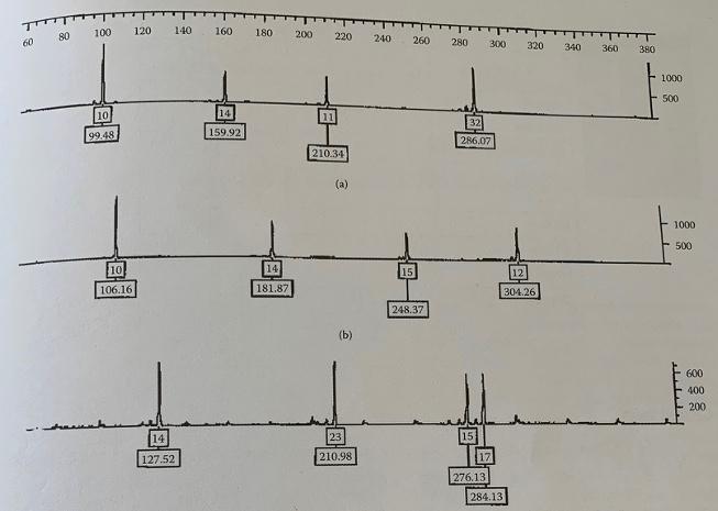 Solved 80 100 60 120 140 160 180 200 220 210 260 280 300 320 | Chegg.com