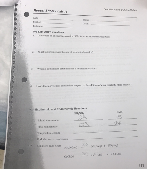 Solved Reaction Rates and Equilibrium Report Sheet-Lab 11 | Chegg.com