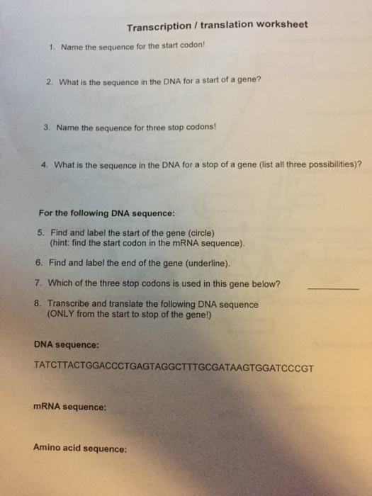 Solved Transcription/translation worksheet 1. Name the | Chegg.com