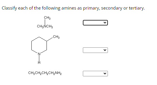 Classify each of the following amines as primary, | Chegg.com