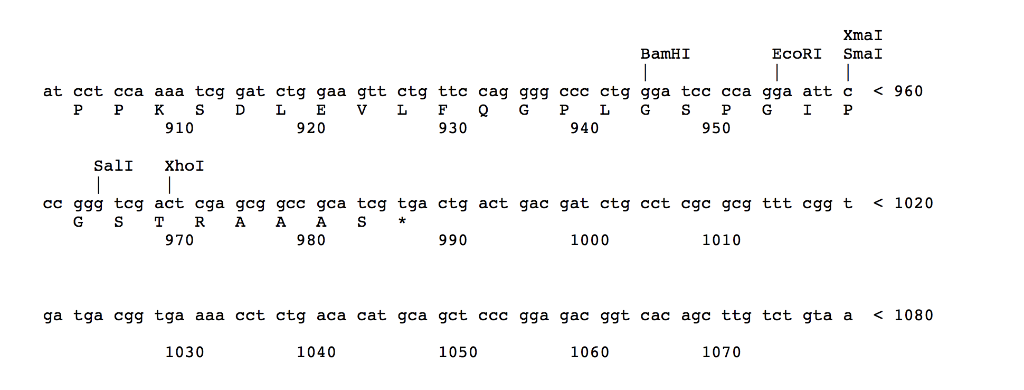 Solved Copy the target DNA sequence image given below. | Chegg.com