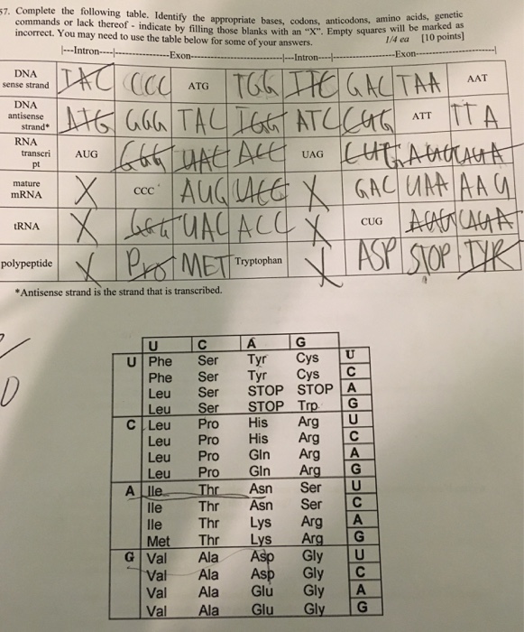 Solved Complete the following table. Identify the | Chegg.com