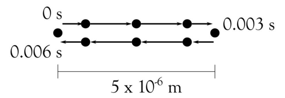 Solved Here is a motion map of a spring-mass oscillation. | Chegg.com