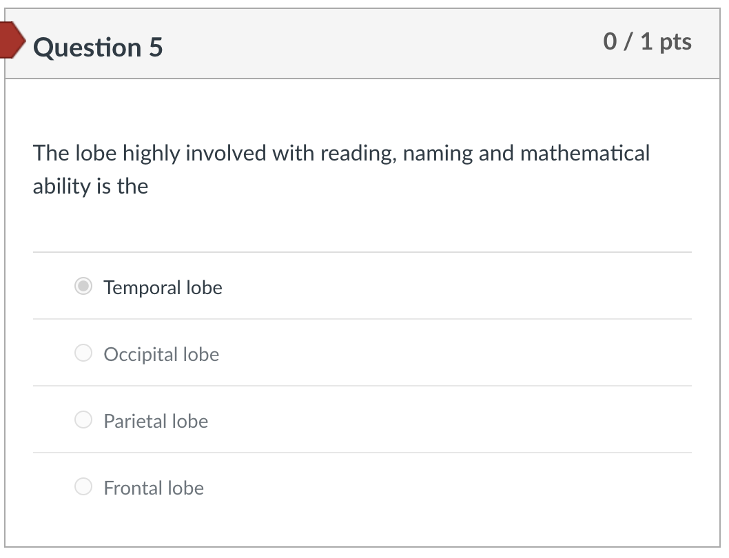 Solved The lobe highly involved with reading, naming and | Chegg.com