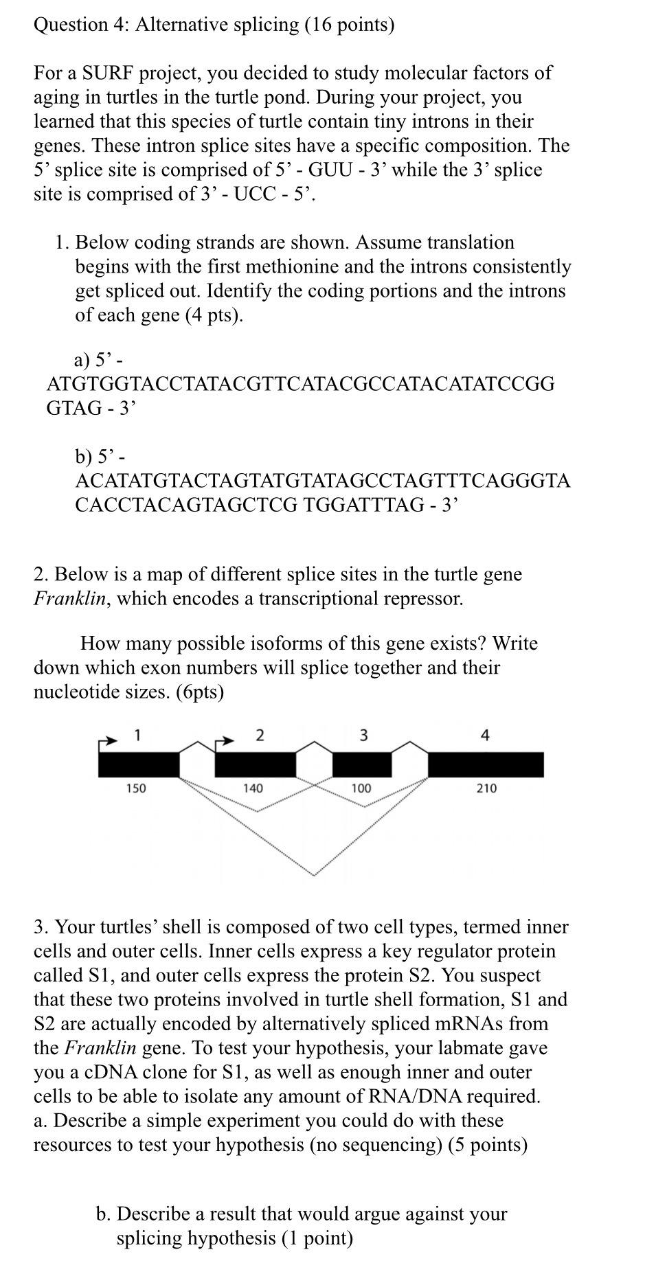 Solved Question 4: Alternative splicing (16 points) For a | Chegg.com