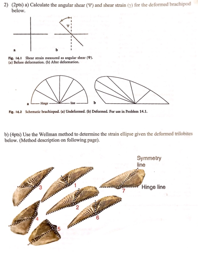 2) (2pts) a) Calculate the angular shear (Ψ) and | Chegg.com
