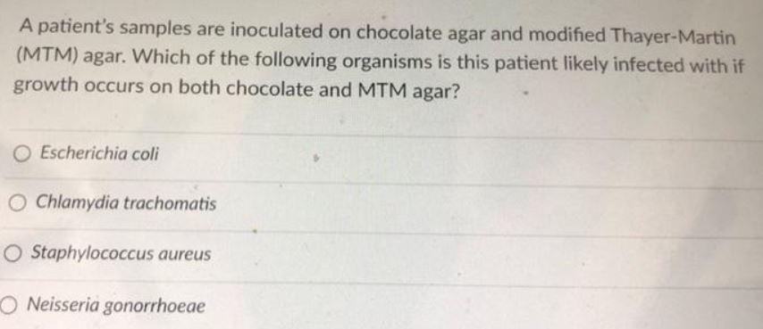 Solved A patient's samples are inoculated on chocolate agar | Chegg.com