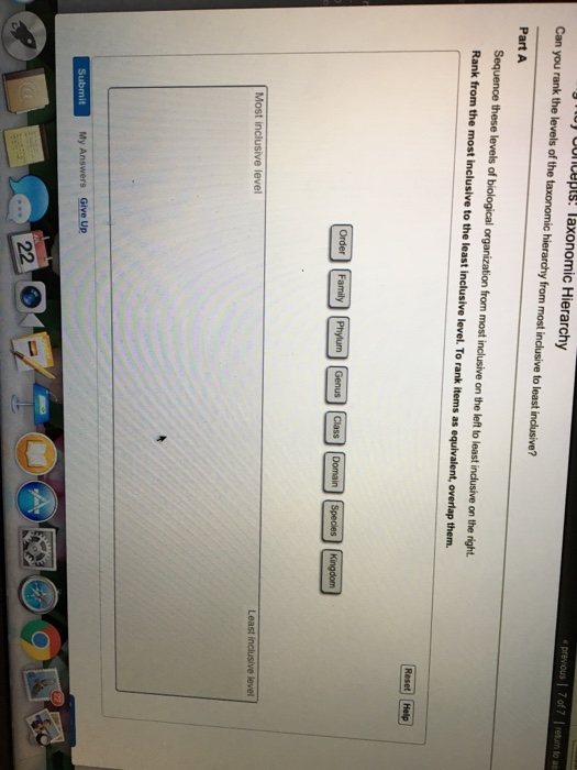 Solved Can you rank the levels of the taxonomic hierarchy | Chegg.com