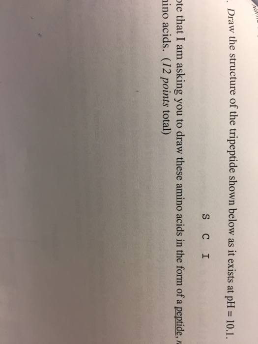 Solved Draw the structure of the tripeptide shown below as | Chegg.com