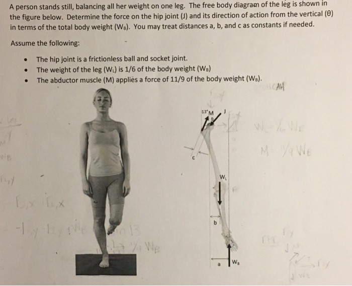 in A person stands still, balancing all her weight on | Chegg.com