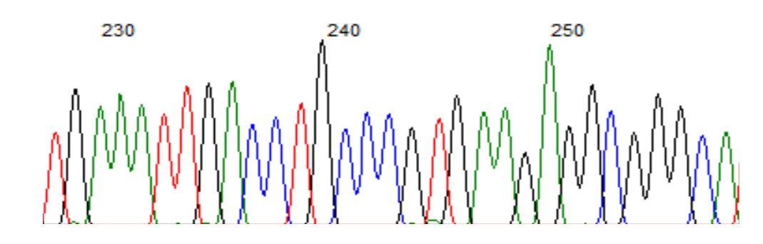 Please Reverse Complement This Sequence Chegg