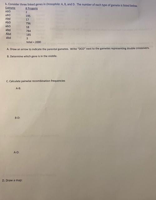 Solved 1. Consider three linked genes in Drosophila: A, B, | Chegg.com