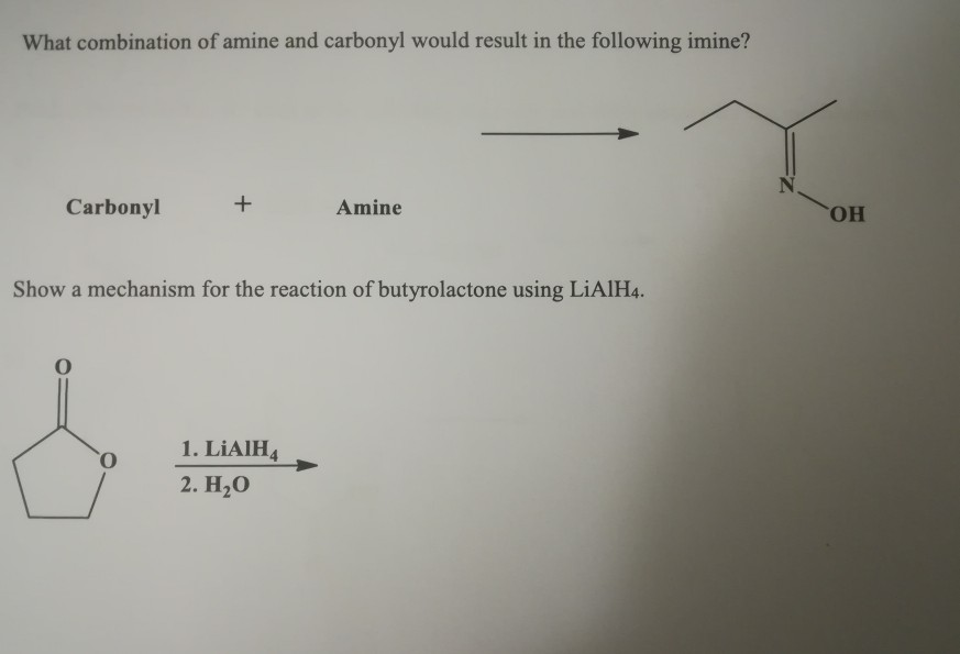 Solved What combination of amine and carbonyl would result | Chegg.com
