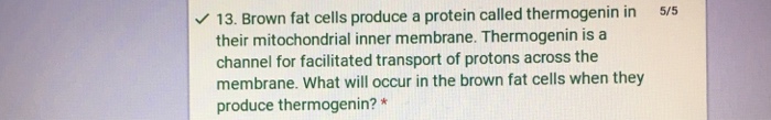 Solved 13. Brown fat cells produce a protein called | Chegg.com