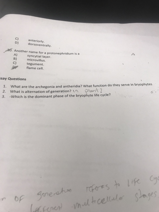 Solved C) D) anteriorly. dorsoventrally Another name for a | Chegg.com