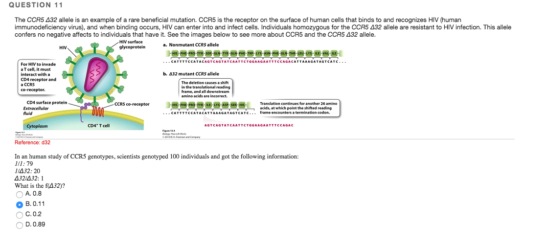 Solved QUESTION 11 The CCR5 432 allele is an example of a | Chegg.com