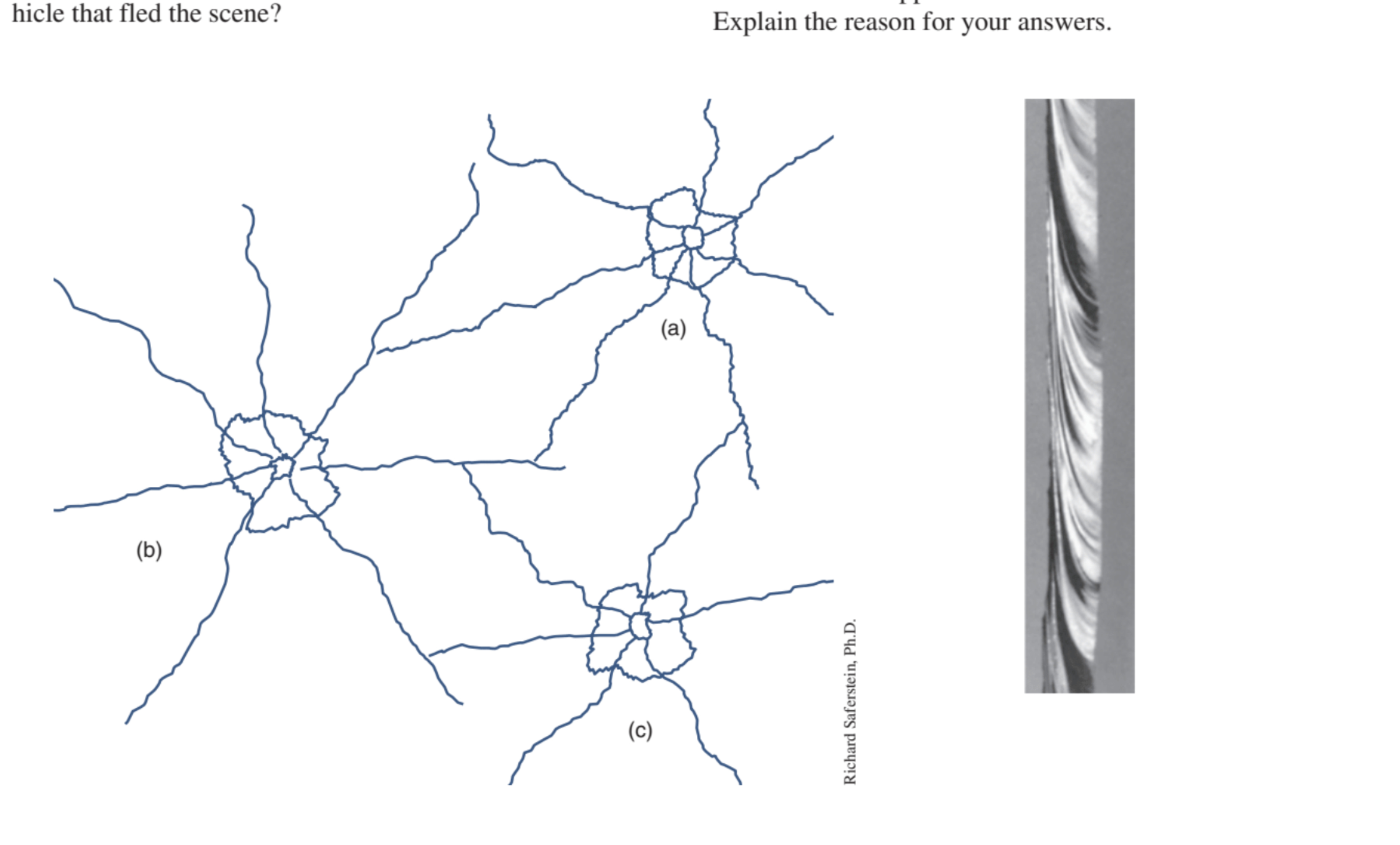 The Accompanying Figure Depicts Stress Marks On The