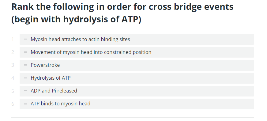 Solved Rank the following in order for cross bridge events | Chegg.com