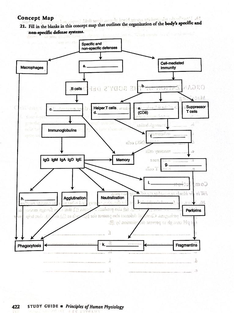 Solved . Concept Map 21. Fill in the blanks in this concept | Chegg.com