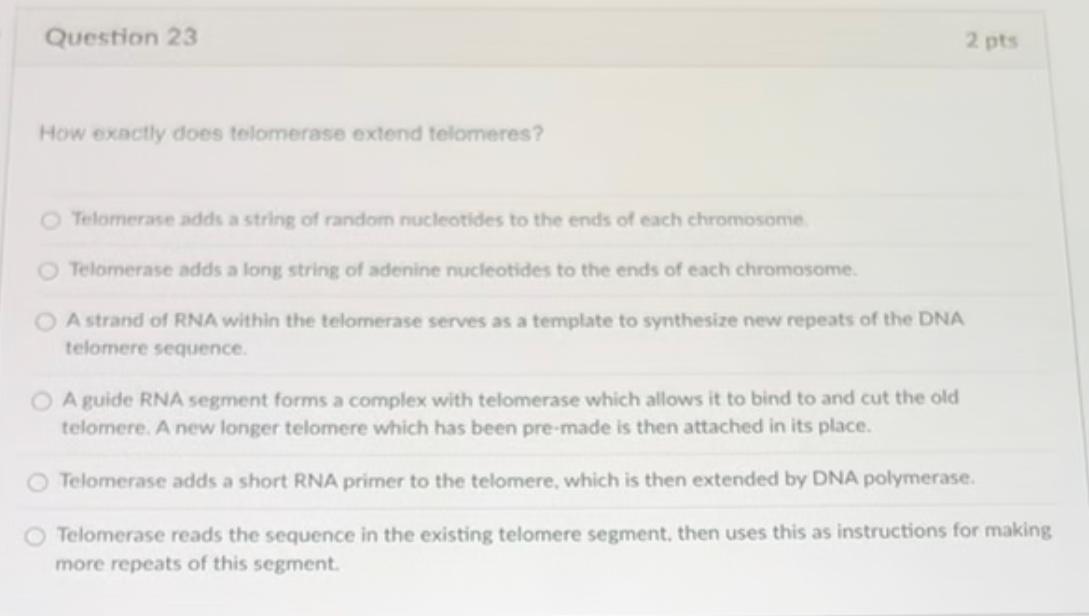 Solved Question 23 2 pts How exactly does telomerase extend | Chegg.com
