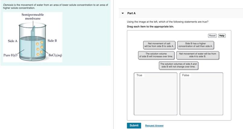 Solved Osmosis is the movement of water from an area of | Chegg.com