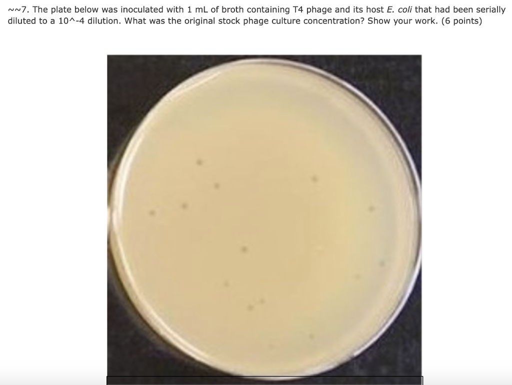 Solved ~~7. The plate below was inoculated with 1 mL of | Chegg.com