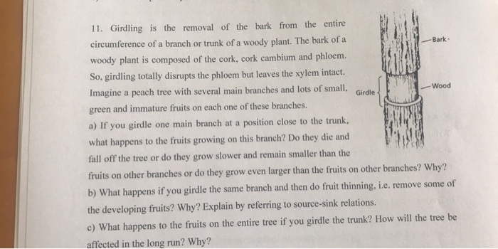 Solved 11. Girdling is the removal of the bark from the | Chegg.com