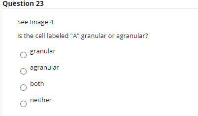Solved Image 4 B Question 23 See Image 4 Is the cell | Chegg.com
