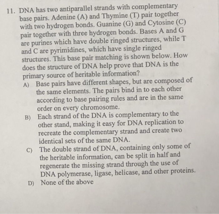 Solved 8. Female 17. RNA contains both introns, non-coding | Chegg.com