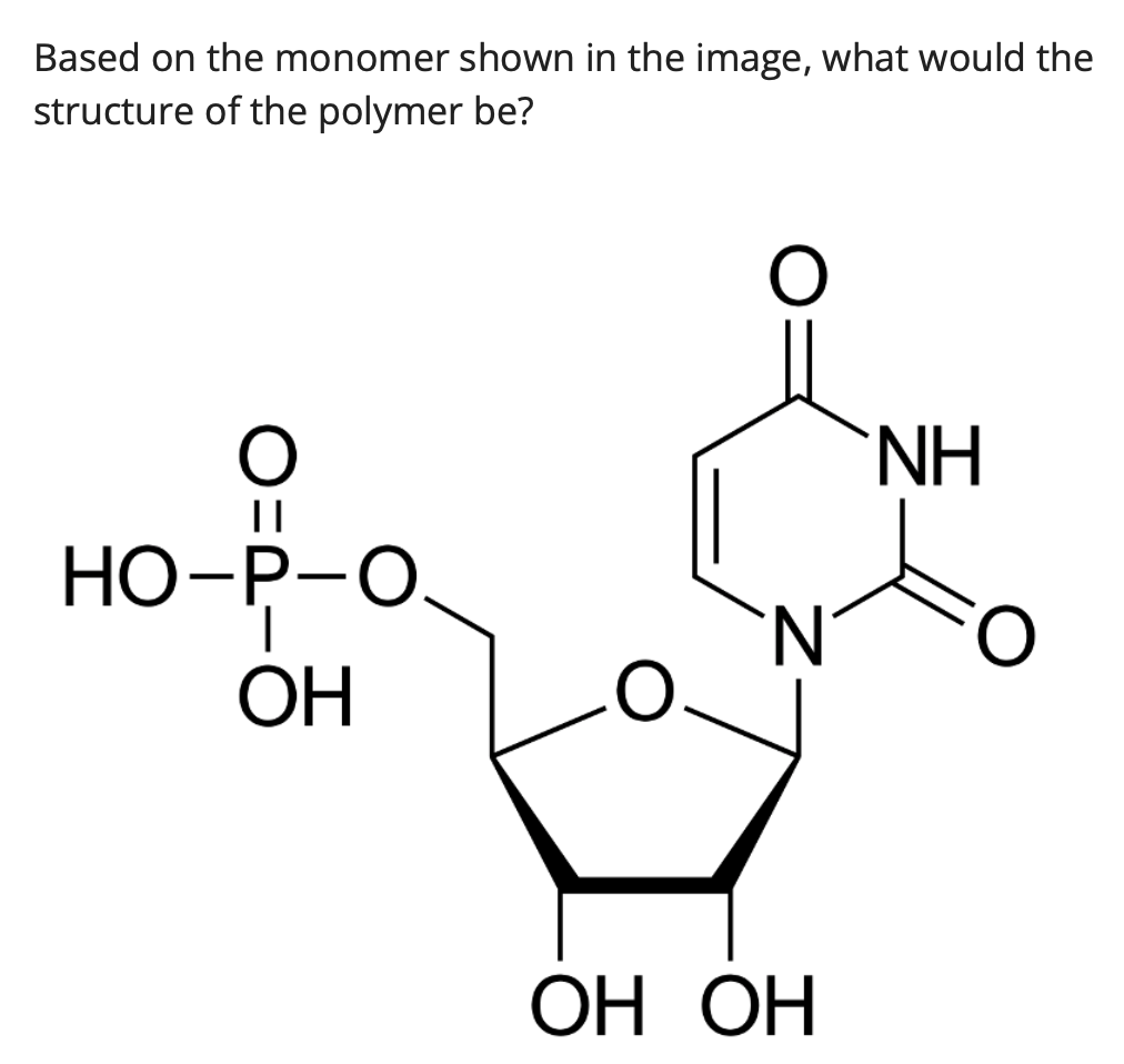 Solved Based on the monomer shown in the image, what would | Chegg.com