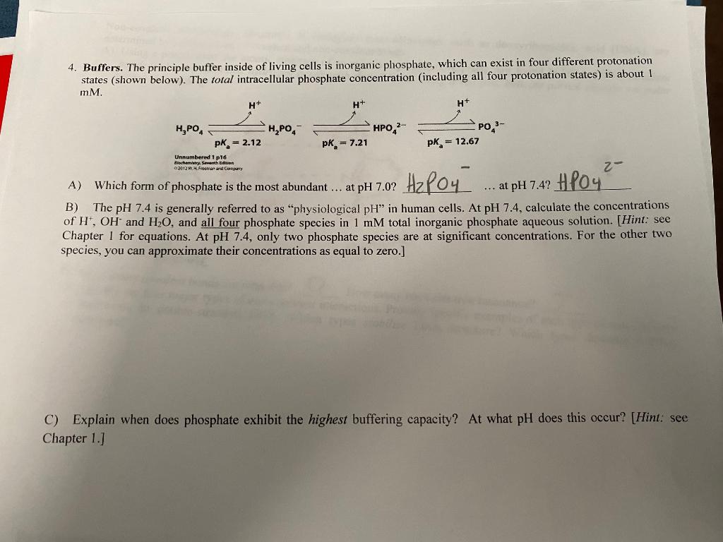 Solved 4. Buffers. The principle buffer inside of living | Chegg.com